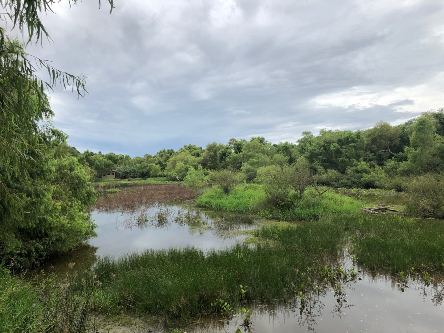 Walking the trails at Sabal Palm Sanctuary - Simmons Tree Farms
